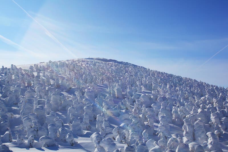 Soft rime, Mt.Zao in Japan stock photo. Image of beauty - 23766452