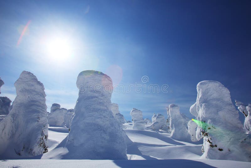 Soft rime, Mt.Zao in Japan stock photo. Image of beauty - 23766452