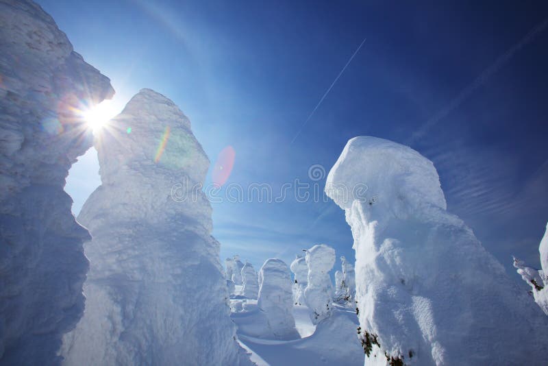 Soft rime, Mt.Zao in Japan stock photo. Image of beauty - 23766452