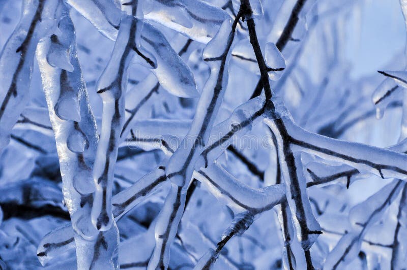 Soft Rime Seen on Cold Morning Stock Photo - Image of nature, winter ...