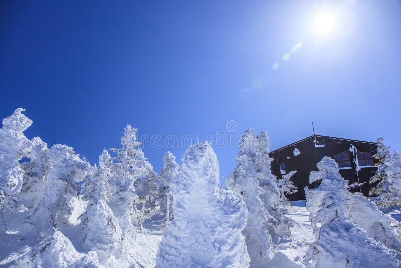 Soft rime, Mt.Zao in Japan stock photo. Image of beauty - 23766452