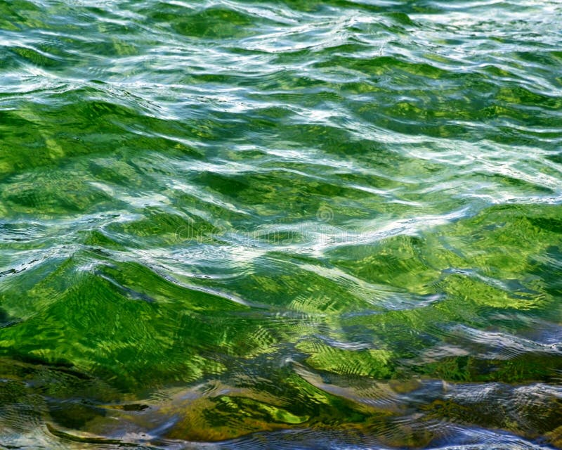 Soft Ripples on Water Surface in Colors of Emerald Green and Gold Stock ...