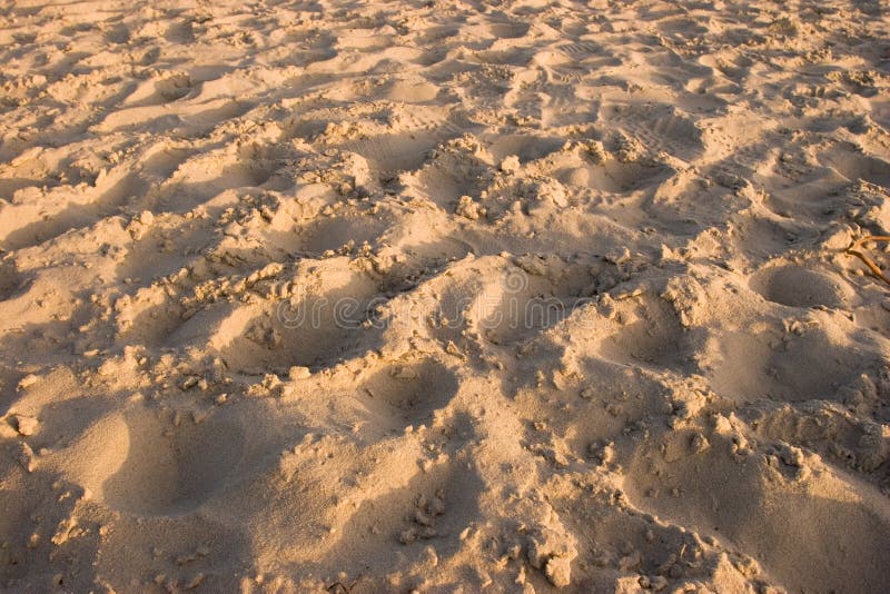 Beach sand stock photo. Image of textured, dune, silica - 13552562