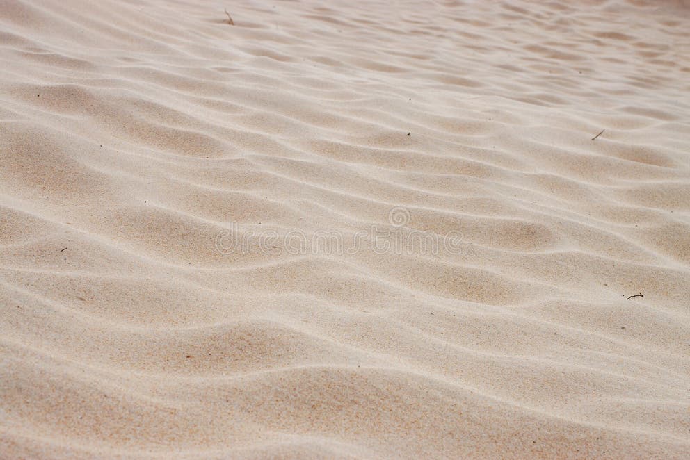 Soft Sand Ripples Formed by Wind on the Beach Stock Photo - Image of ...