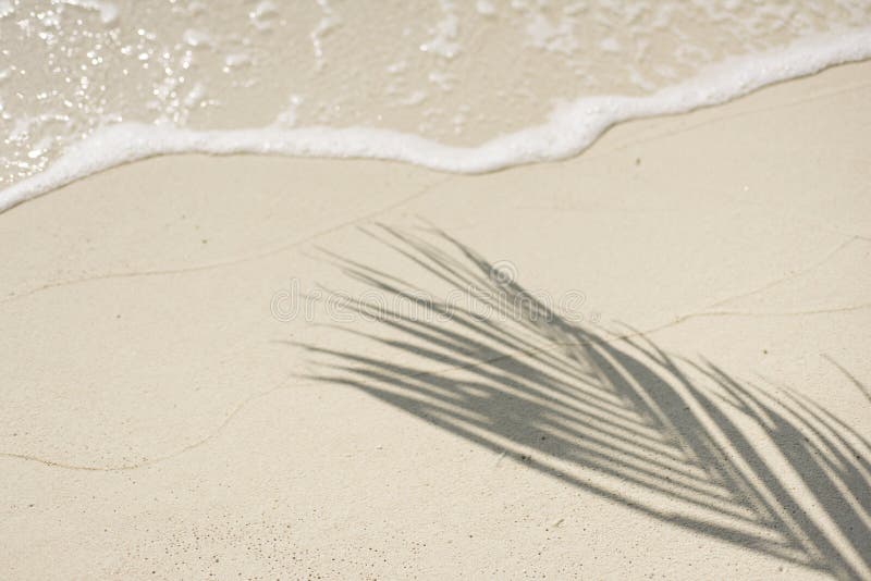 Soft Sea Wave on Sandy Beach with Palm Leaf Shadow Stock Image - Image ...