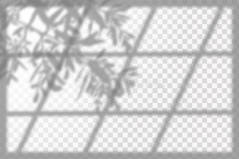 Soft Shadow Form Window and Plants, Light Overlay Effect. Scenes of ...