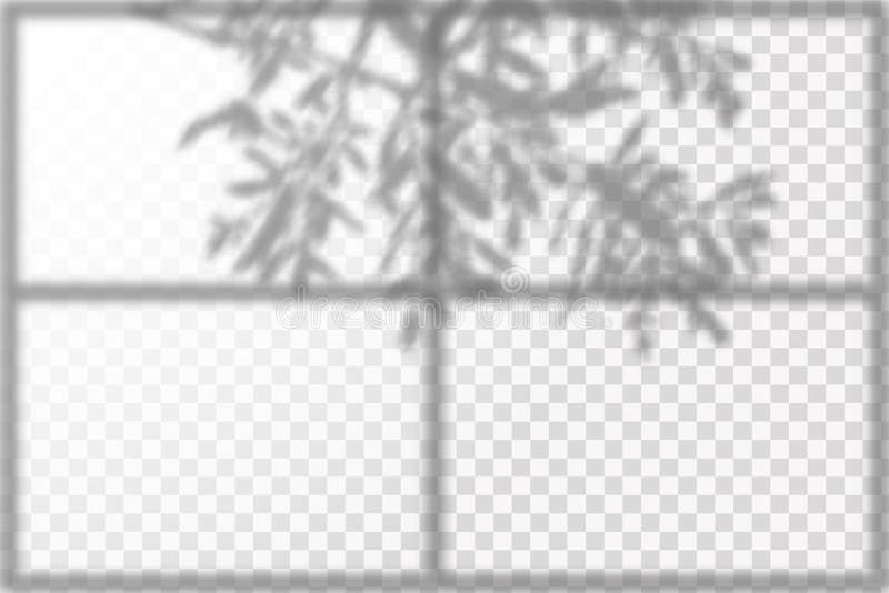 Soft Shadow Form Window and Plants, Light Overlay Effect. Scenes of ...