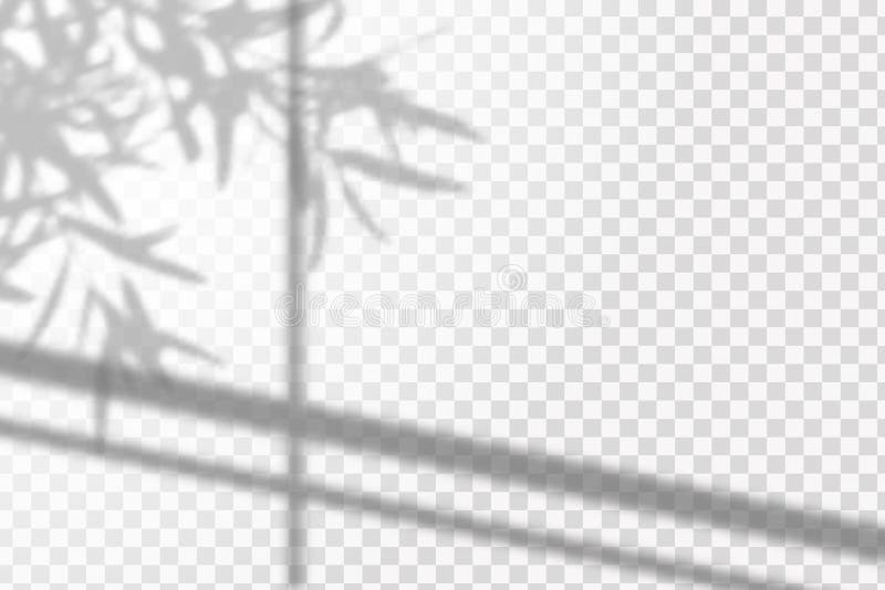 Soft Shadow Form Window and Plants, Light Overlay Effect. Scenes of ...