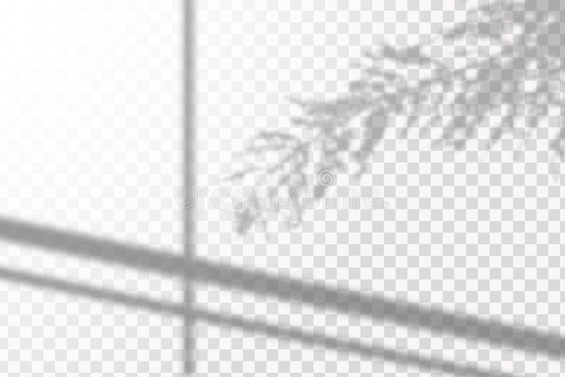 Soft Shadow Form Window and Plants, Light Overlay Effect. Scenes of ...