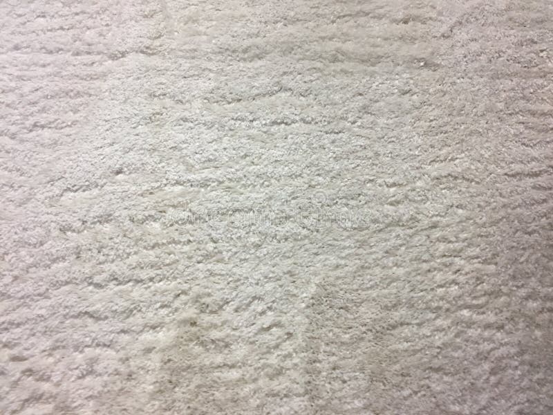 White Soft Floor Seamless Carpet Texture Stock Photo - Image of nature ...