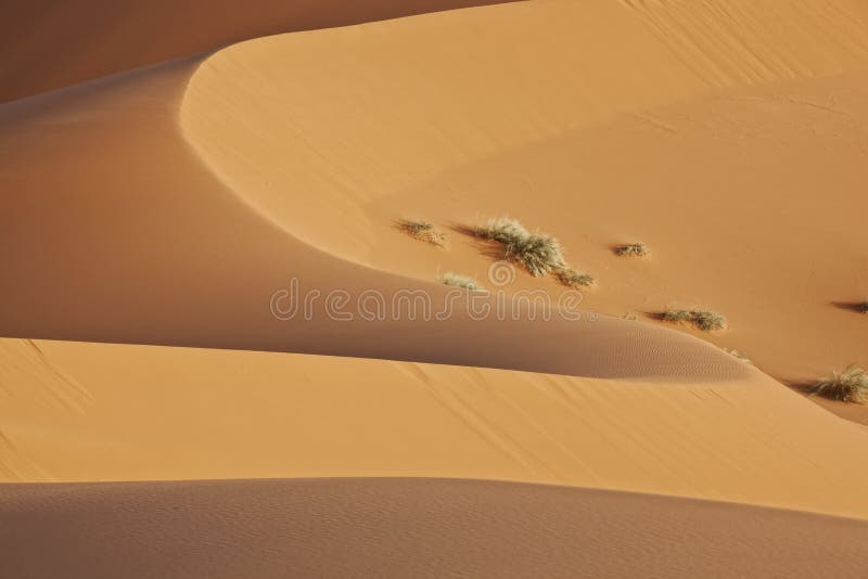 Soft Shaped Desert Sand Dune Stock Image - Image of peaceful, heat ...