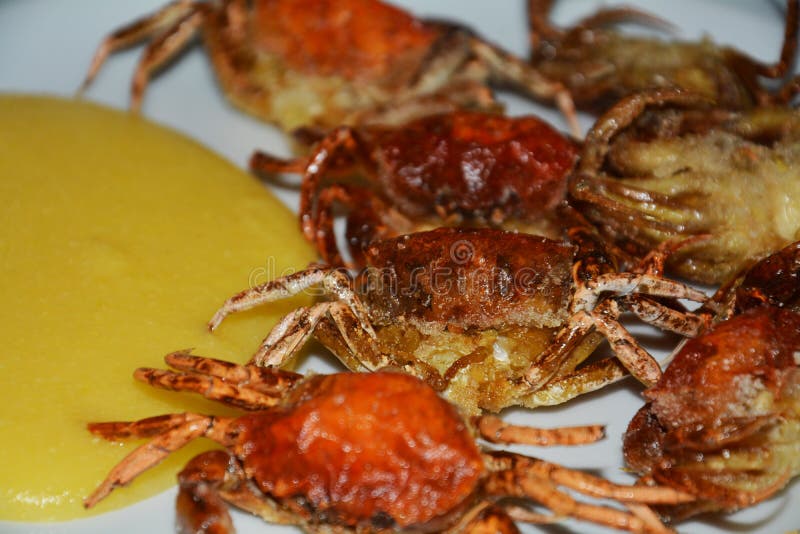 Soft Shell Crabs and Cornmeal Mush Stock Image - Image of dish ...