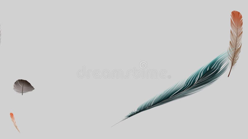 Soft Silky Feathers Isolated with Copy Space for Text and Advertisement ...