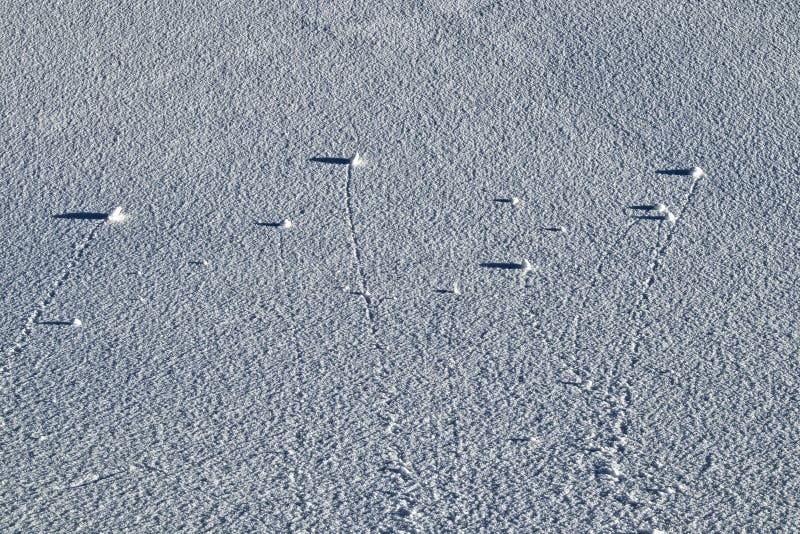 Soft Snow Surface Patterns in Winter on Hillside Stock Photo - Image of ...
