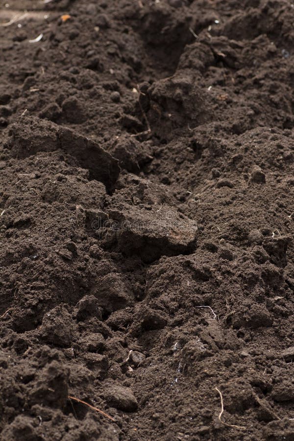 Soft soil stock photo. Image of earth, farming, closeup - 91761860
