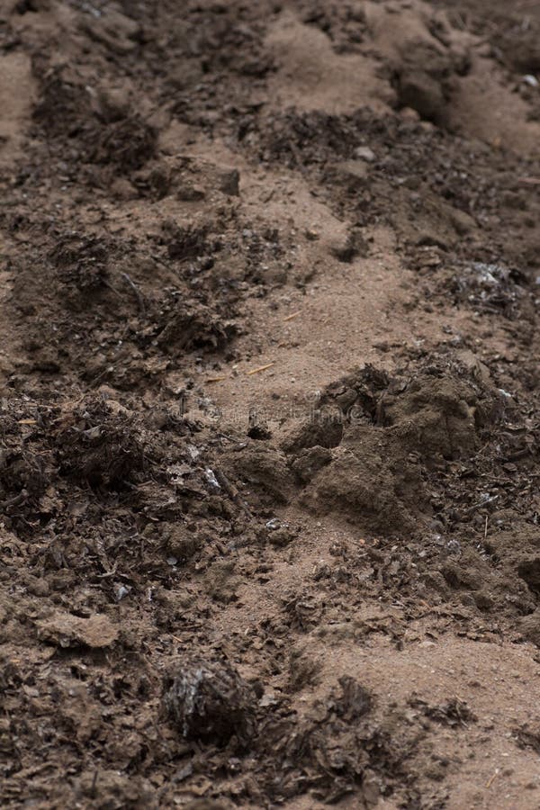 Soft soil stock image. Image of people, field, fresh - 91762327