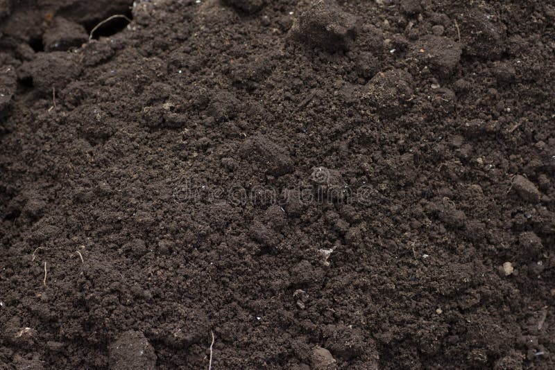 Soft soil stock image. Image of environmental, planting - 91795803