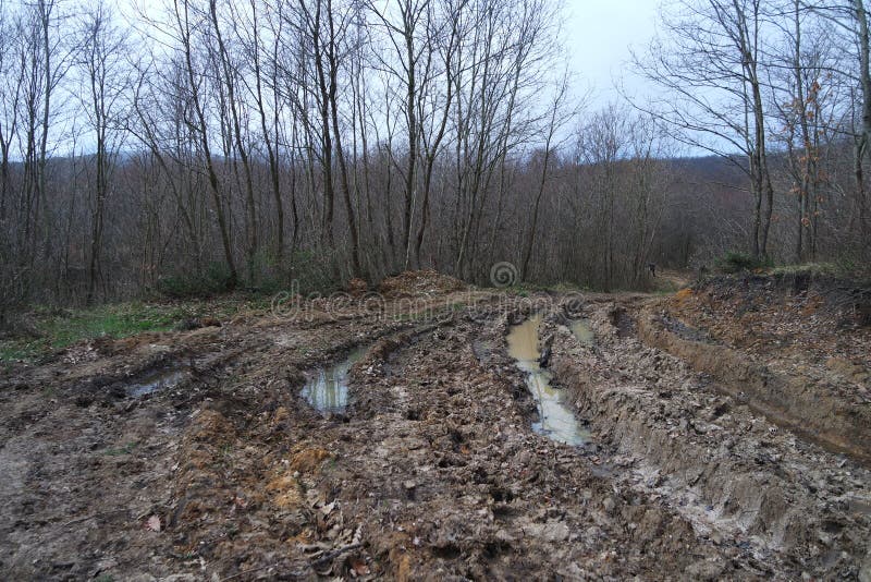 Mud road after rain stock photo. Image of grass, earth - 125945662