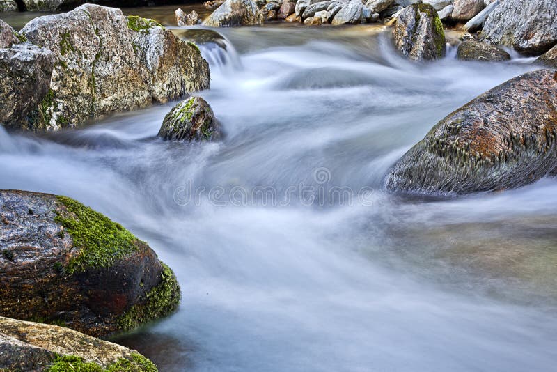 Soft stream in forest stock photo. Image of nature, exposure - 79996946
