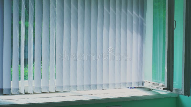 Soft Sunlight Filtering through White Blinds, Casting Delicate Moving ...