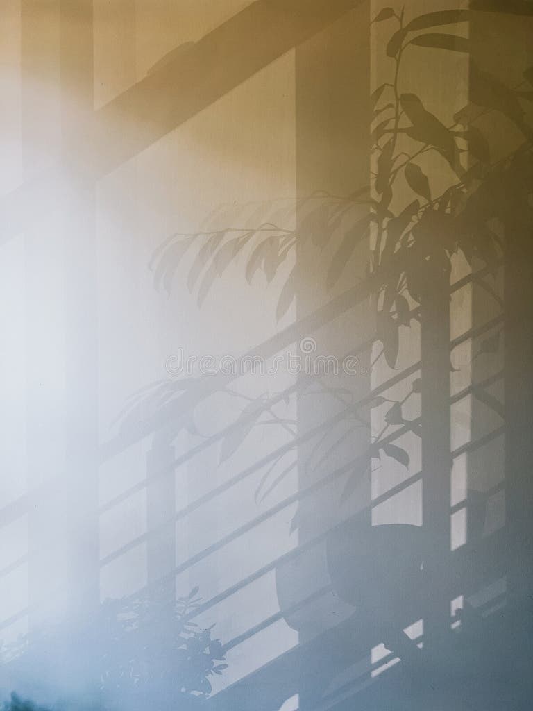 578 Railing Create Stock Photos - Free & Royalty-Free Stock Photos from ...