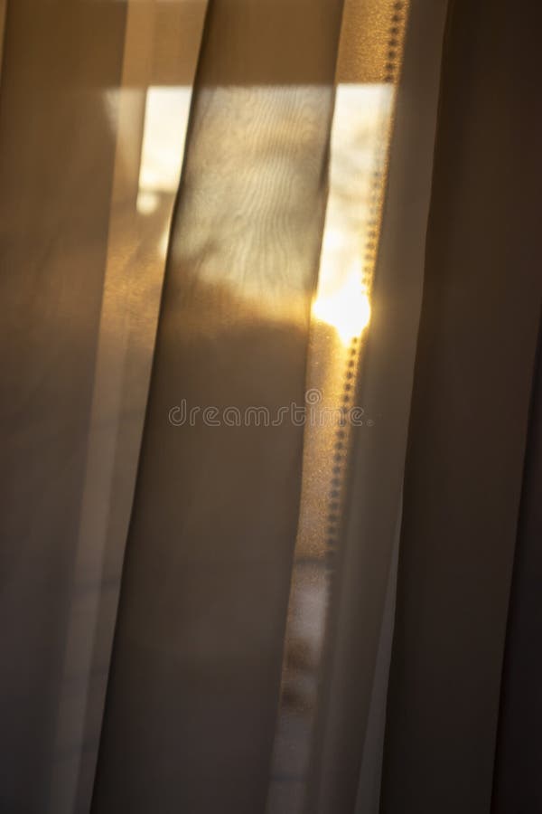 Soft Sunlight Streaming Sheer Curtains Creating Warm Inviting ...