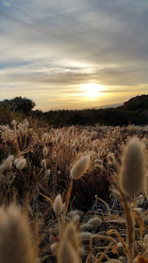 Soft sunset stock photo. Image of sunsets, australia - 57731690
