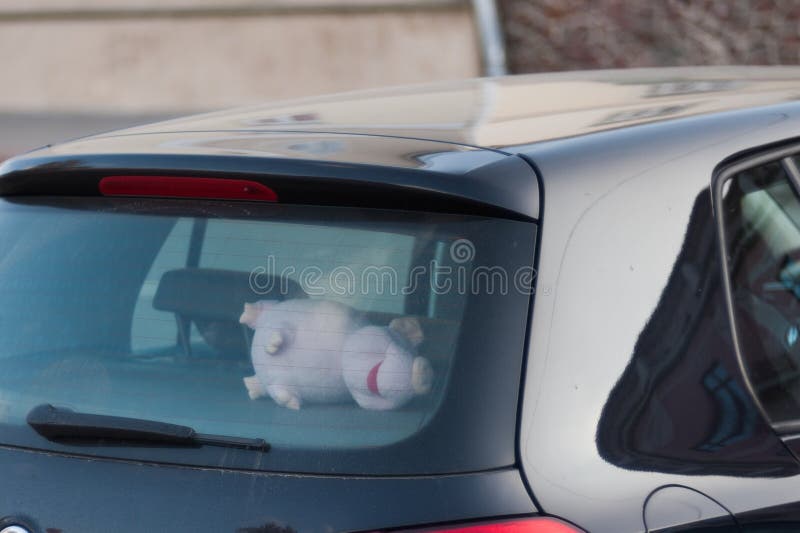 Soft Toy in the Car, in the Form of a Pig, a Pig Behind the Wheel Stock ...