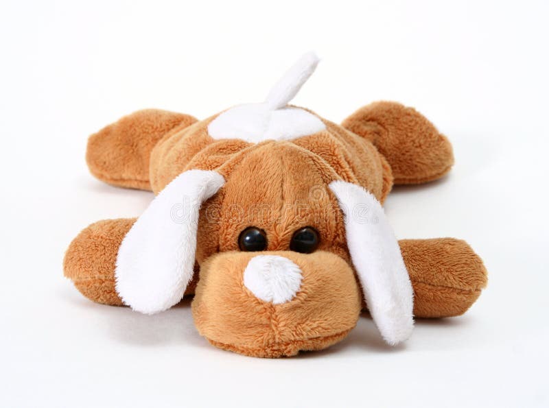 Soft toy dog stock image. Image of fluffy, gift, teddy - 4352467