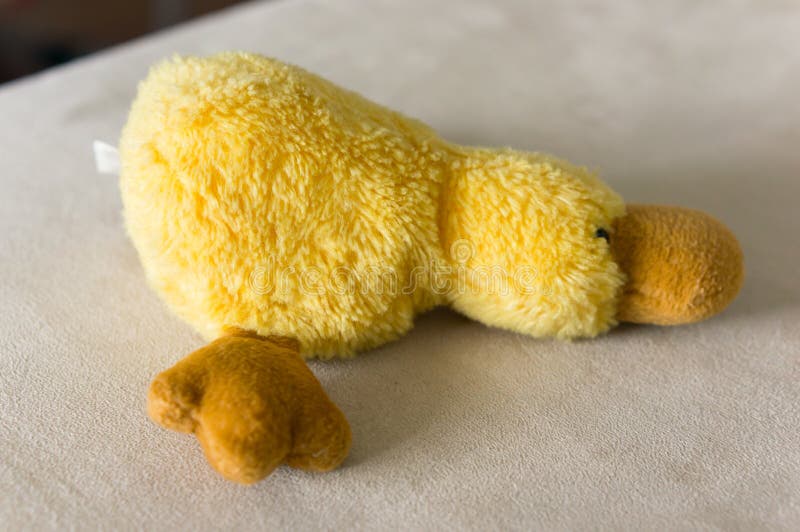 Soft toy duck stock image. Image of yellow, material - 40949575