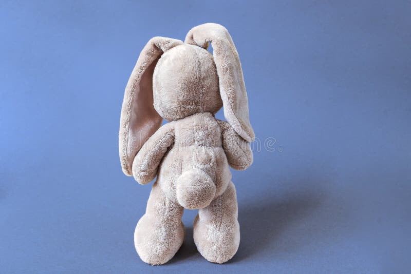 Soft Toy Hare Stands Facing Away on a Bright Blue Background Stock ...