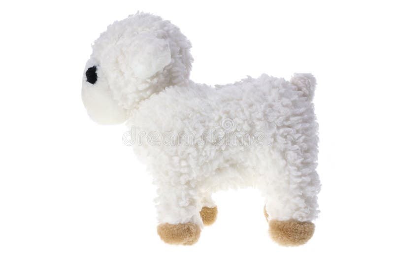 Soft Toy Lamb stock image. Image of cuddly, life, standing - 19275287