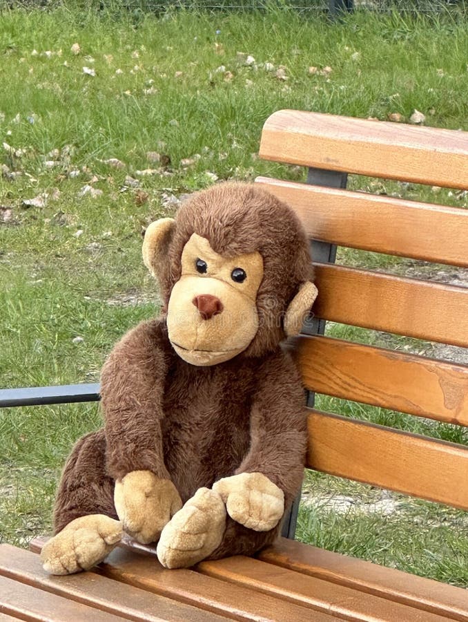 Soft Toy Monkey Sitting on a Bench Stock Photo - Image of cute, monkey ...