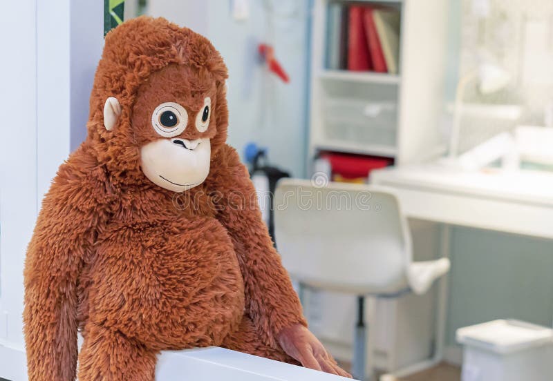 Soft Toy Orange Monkey in the Toy Store Stock Image - Image of play ...