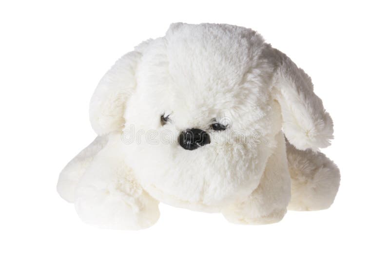 Soft toy dog stock image. Image of soft, fluffy, fuzzy - 12231763
