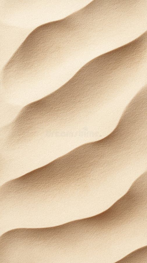 Soft Undulating Sand Dunes Reflect the Warm Glow of Dawn in an Inviting ...