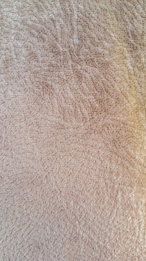 Brown Velure Stock Photos - Free & Royalty-Free Stock Photos from ...