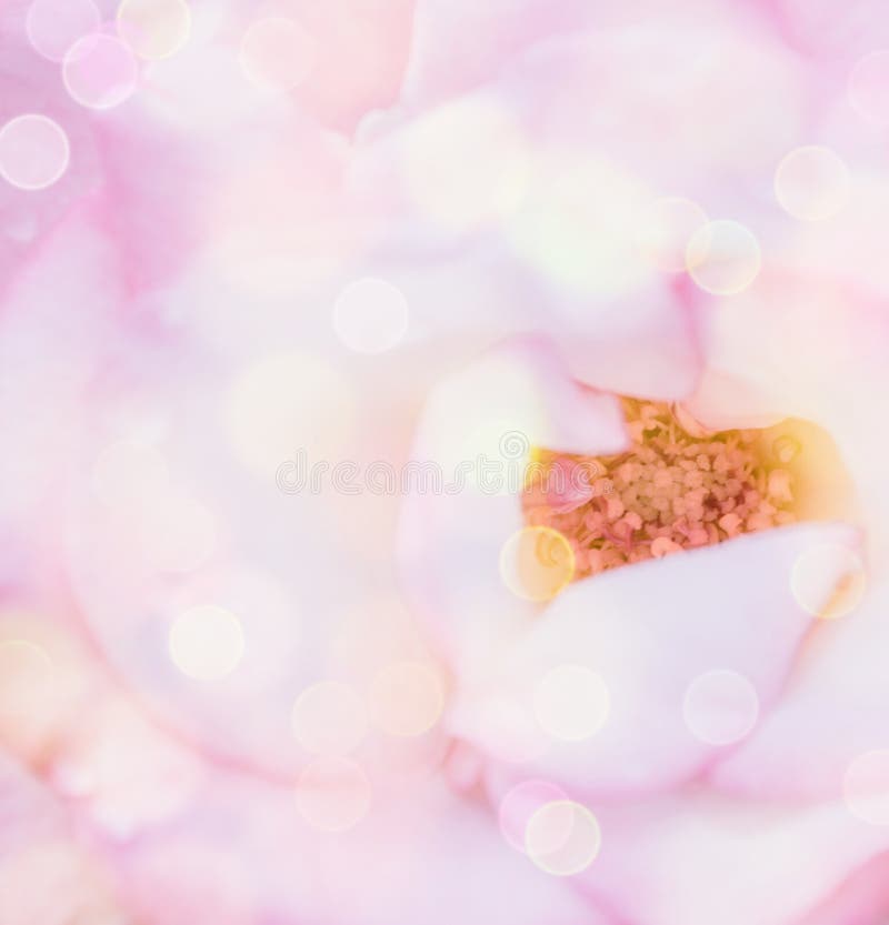 Soft Warm Nature Spring Background with Pronounced Bokeh and Blur Stock ...