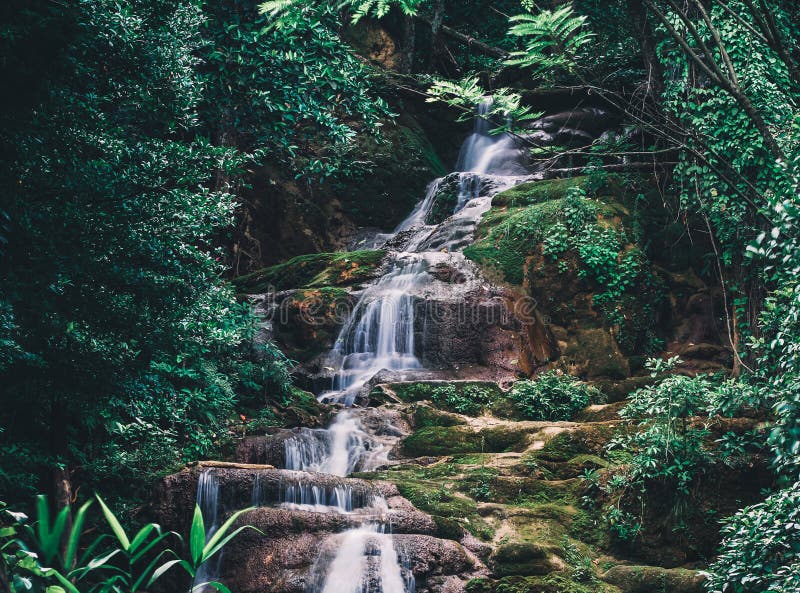 Soft Water of the Stream in the Natural Park, Beautiful Waterfall in ...