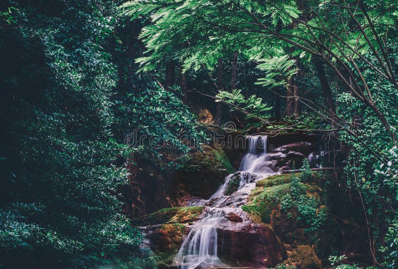 Soft Water of the Stream in the Natural Park, Beautiful Waterfall in ...