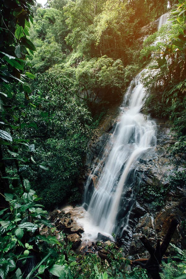 Soft Water of the Stream in the Natural Park, Beautiful Waterfall in ...