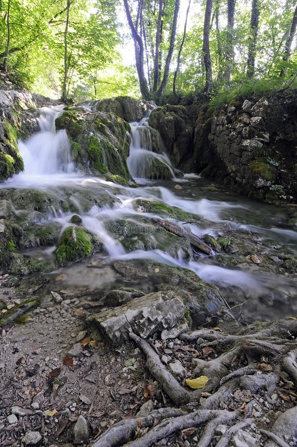 Soft Waterfalls in the Forest. Stock Image - Image of creek, idyllic ...