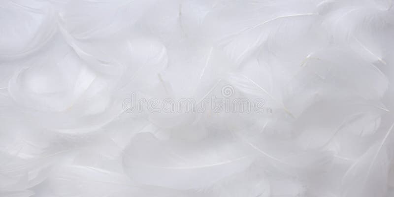 Feathers Texture Bright Vertical Abstract Background. Stock ...