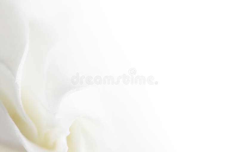 Soft White Flower Background Stock Image - Image of frame, anniversary ...