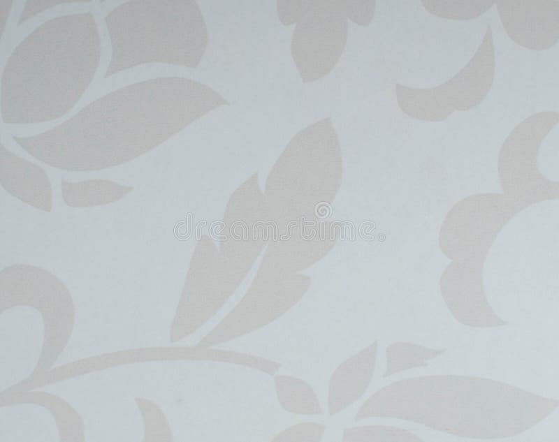 Soft White Flower Background Stock Image - Image of background ...