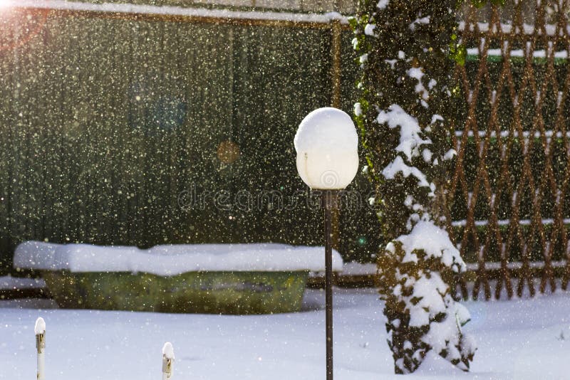Soft White Fluffy Snow on Tree Branches Stock Image - Image of frost ...
