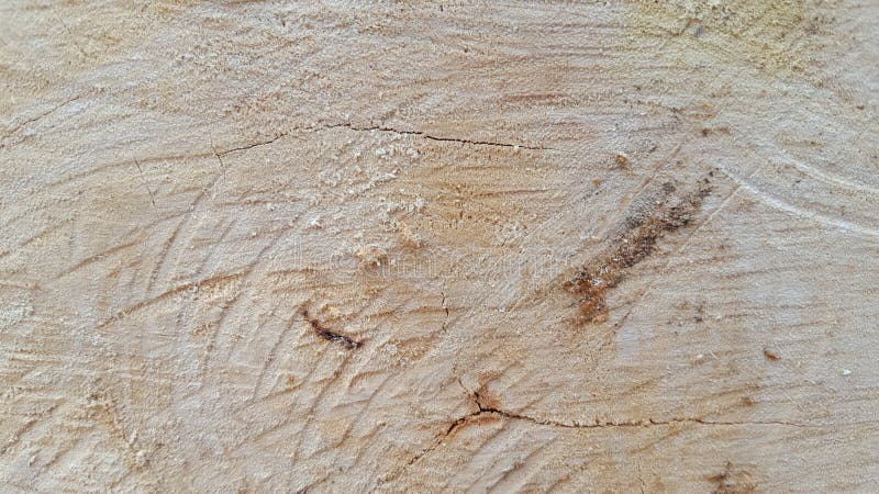 Soft Wood Grain Textures with Natural Color Stock Image - Image of pale ...