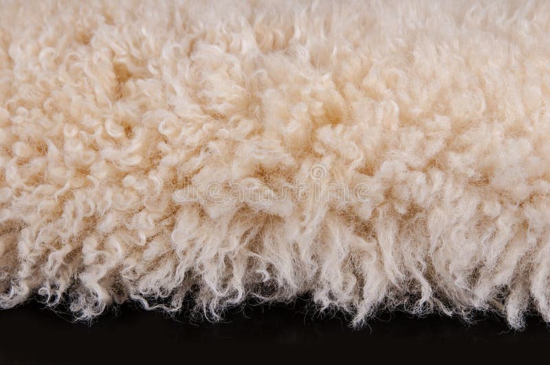 Sheep`s Wool. Sheep Wool Texture Lamb Background Stock Image - Image of ...