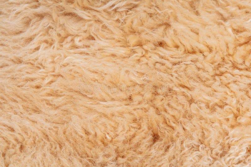 Sheep`s Wool. Sheep Wool Texture Lamb Background Stock Image - Image of ...