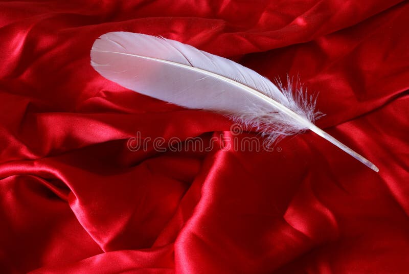 Softness stock image. Image of romantic, beautiful, background - 20640937